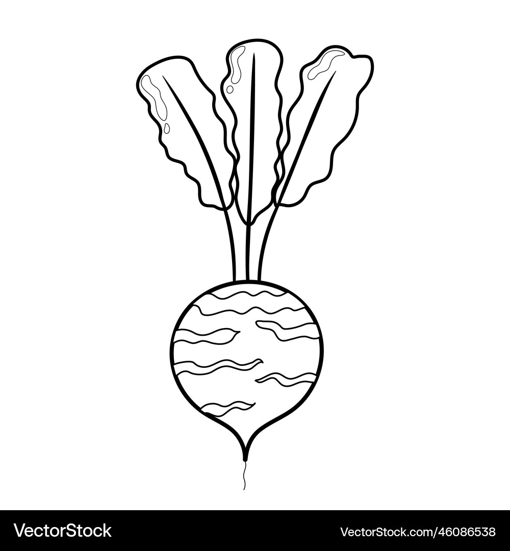 Beetroot Clipart Black And White Beetroot Rubber Stamp From The