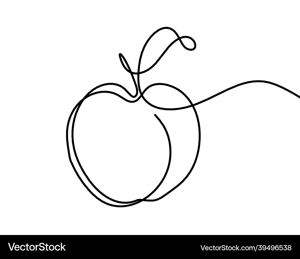 Drawing lidrawing line apricot peach nectarine Vector Image
