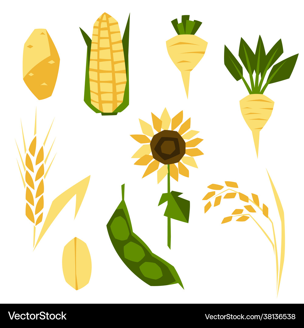 Set agricultural crops harvesting stylized Vector Image