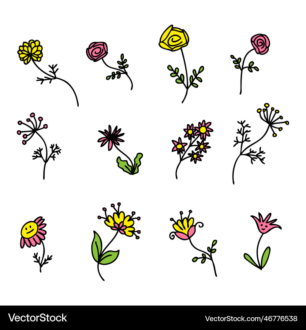 Summer wildflowers collection in simple doodle Vector Image