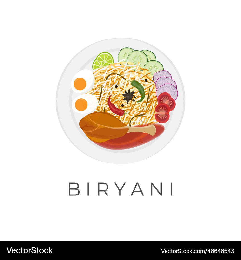 Chicken biryani rice with curry sauce Royalty Free Vector