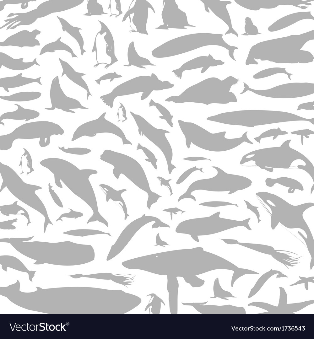 Dolphin a background Royalty Free Vector Image