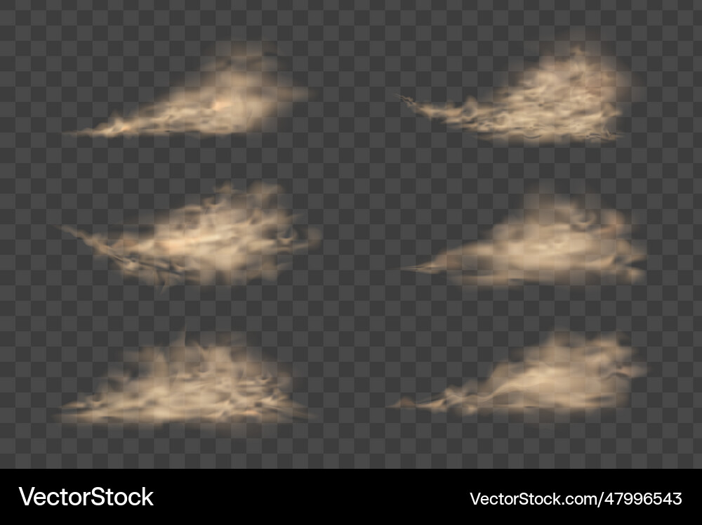 Dust cloud sand storm powder spray on transparent Vector Image