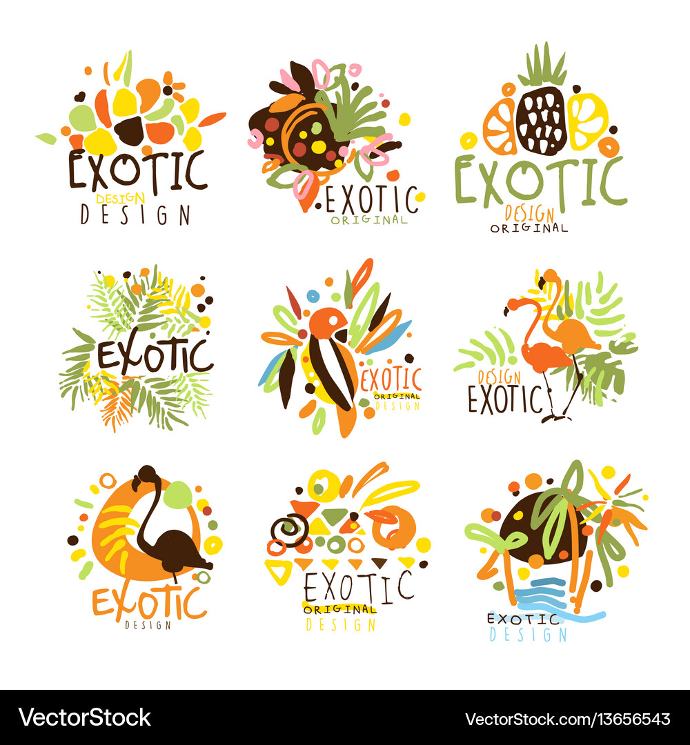 Exotic summer vacation colorful graphic design Vector Image