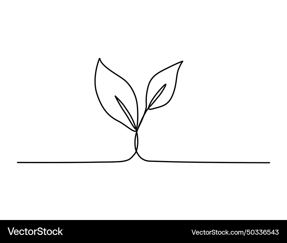 Hand drawn line art plant one continuous Vector Image