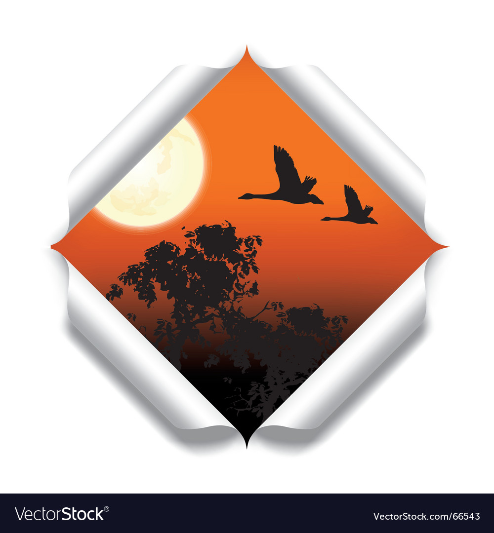 Sun window Royalty Free Vector Image - VectorStock