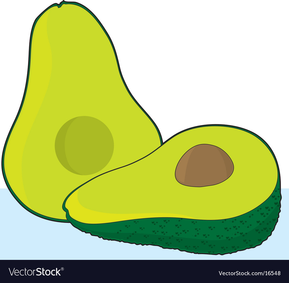 Avocado Royalty Free Vector Image - VectorStock