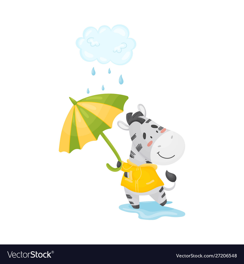 Small humanized zebra walks in rain Royalty Free Vector
