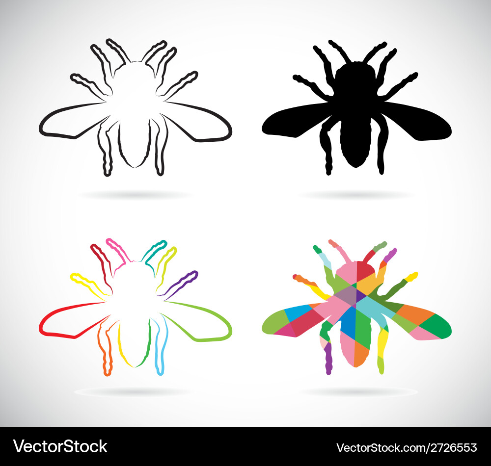 Image of an insects Royalty Free Vector Image - VectorStock