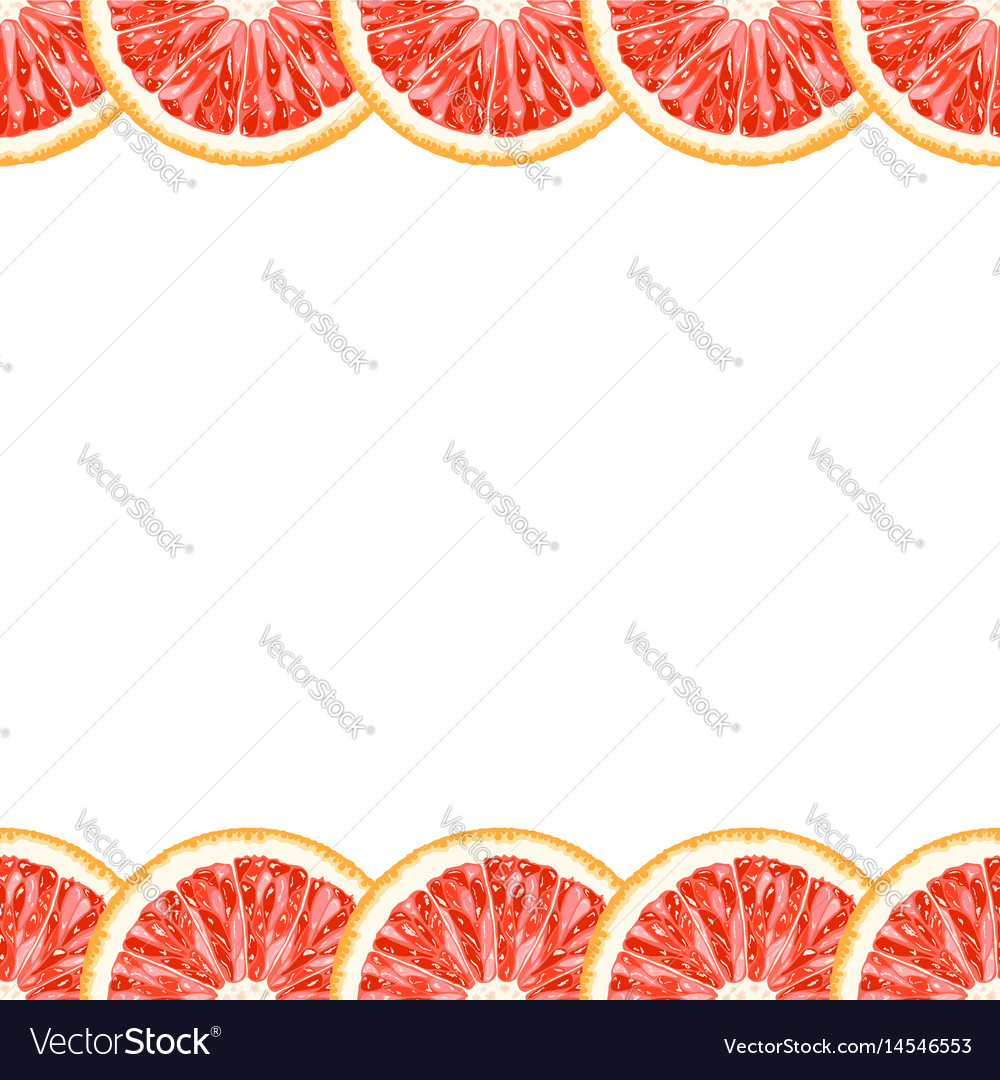 Seamless decorative border of grapefruit slices Vector Image