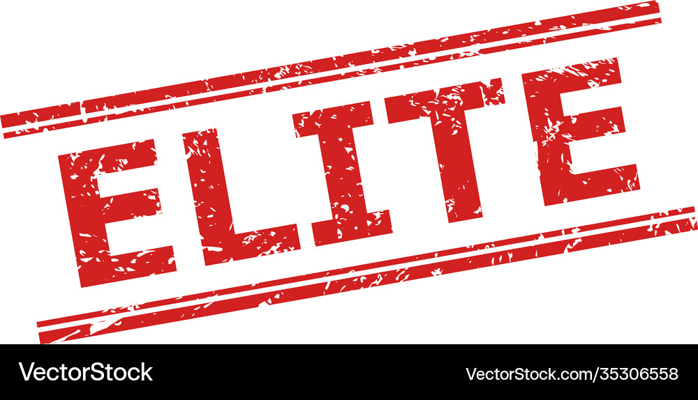 Elite seal with unclean surface and double Vector Image