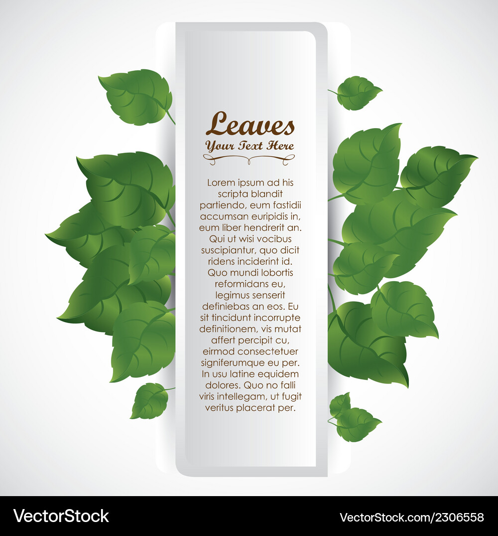 Green leaves card on a white background Royalty Free Vector