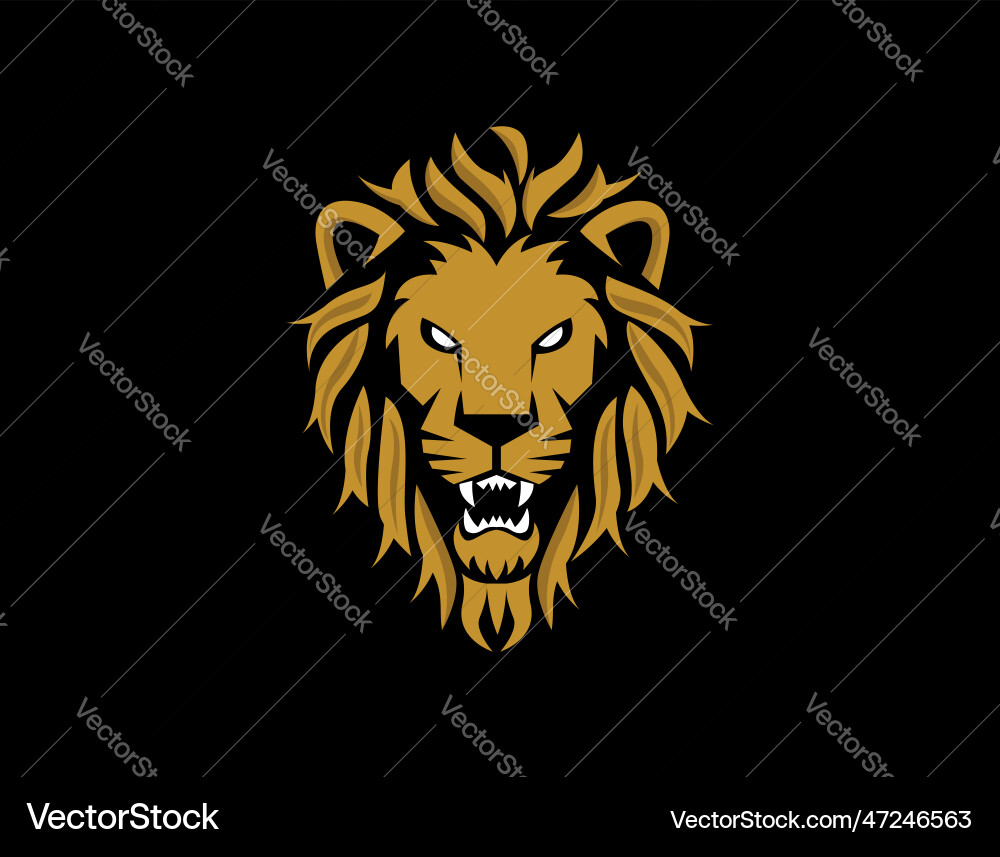 Black and gold lion head logo design template Vector Image