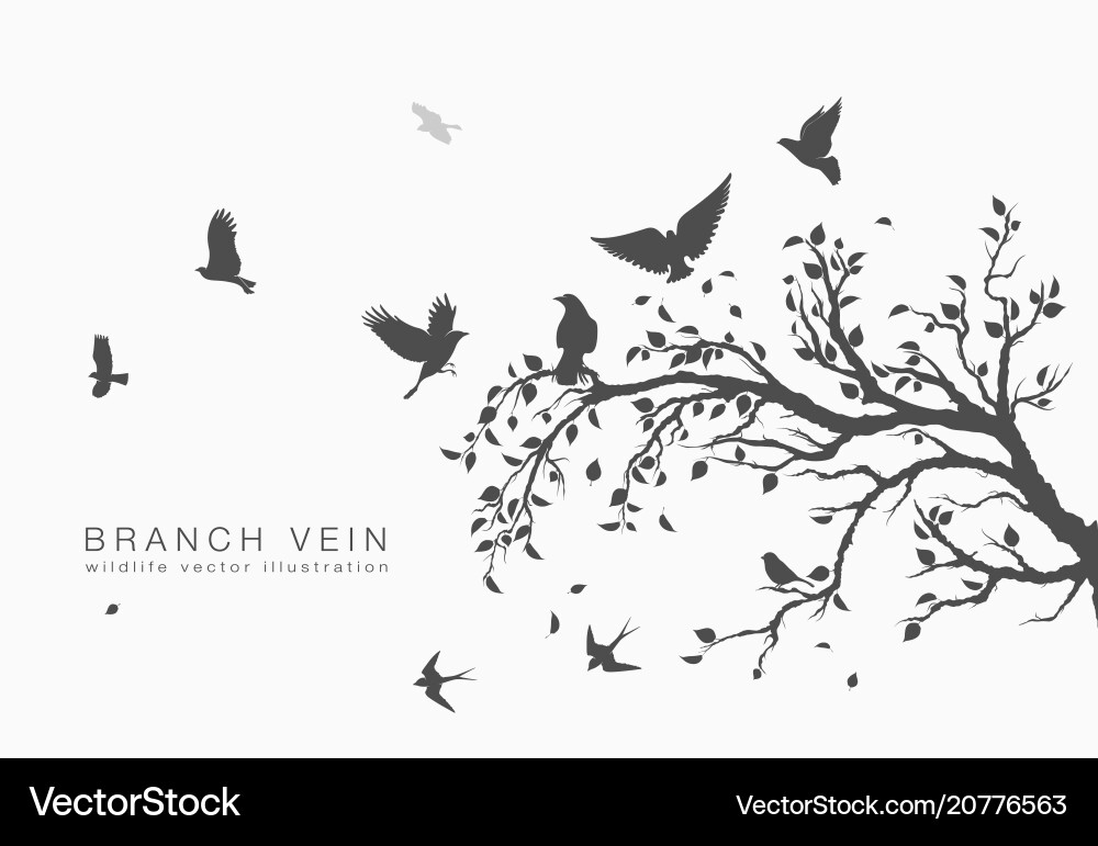 Flock of flying birds on tree branch tree Vector Image