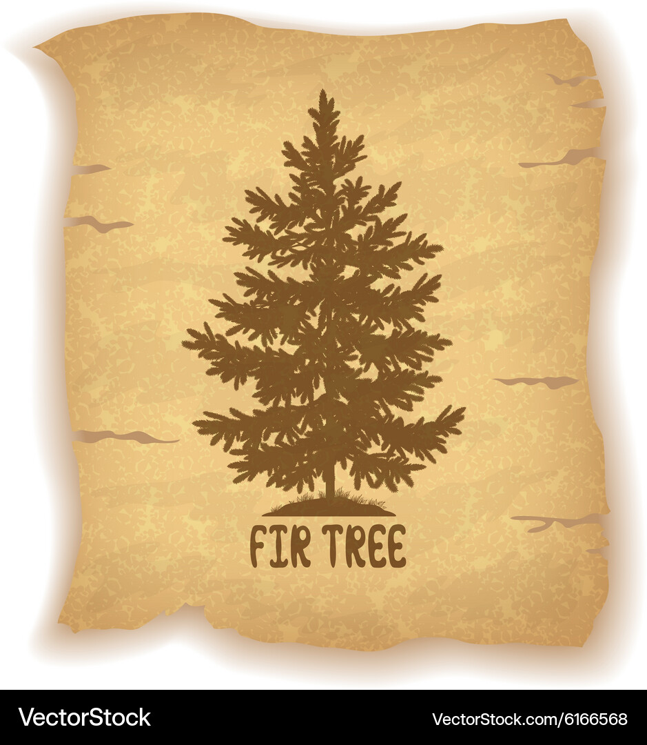 Christmas fir tree on old paper Royalty Free Vector Image