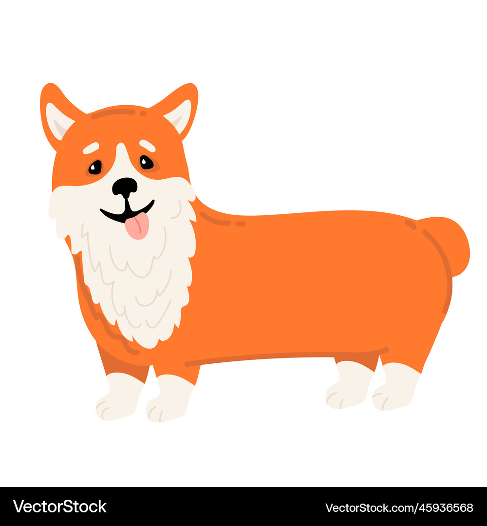 Corgi dog cartoon cute Royalty Free Vector Image