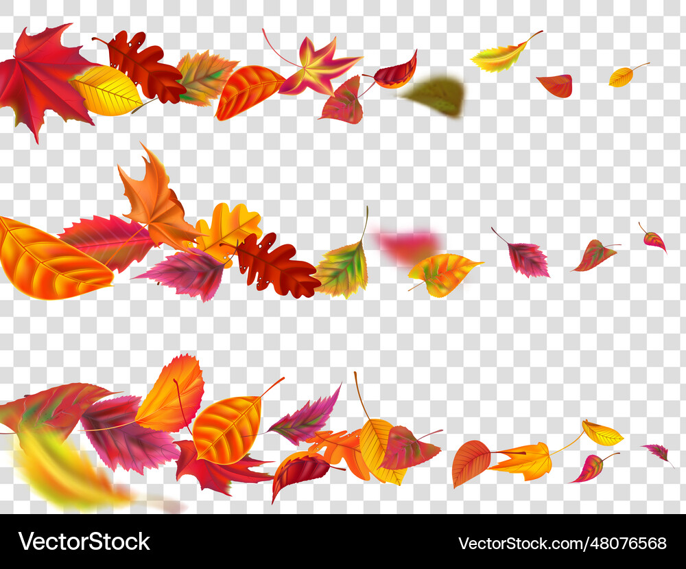 Flying autumn leaves fall leaf banner yellow Vector Image