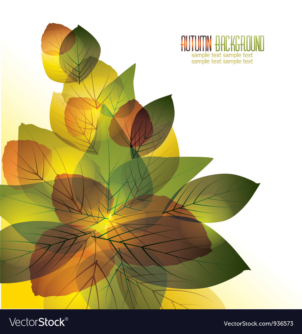 Leaves Royalty Free Vector Image - VectorStock