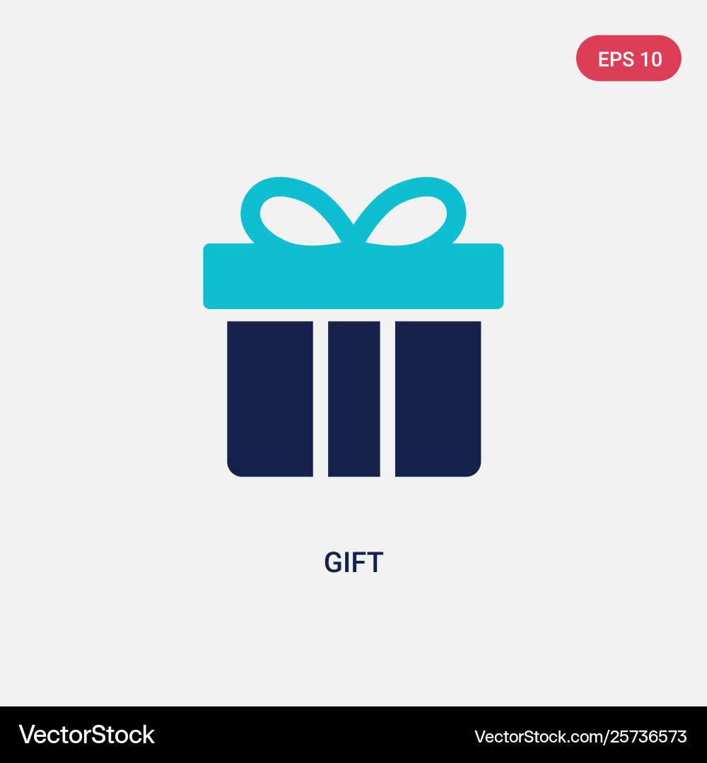 Two color gift icon from delivery and logistic Vector Image