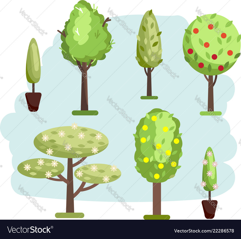 Different kind trees set Royalty Free Vector Image