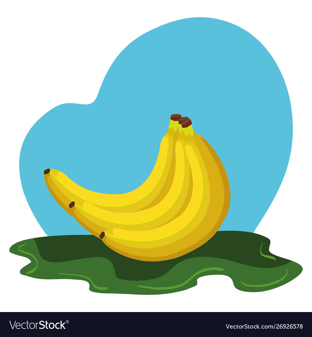 Fresh bananas fruits nature icons Royalty Free Vector Image