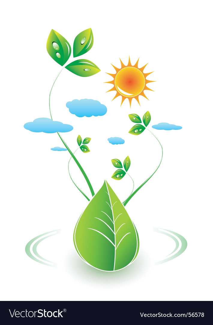 Growth Royalty Free Vector Image - VectorStock