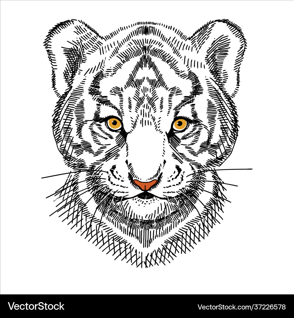 Portrait a tiger cub calm expression a hand Vector Image