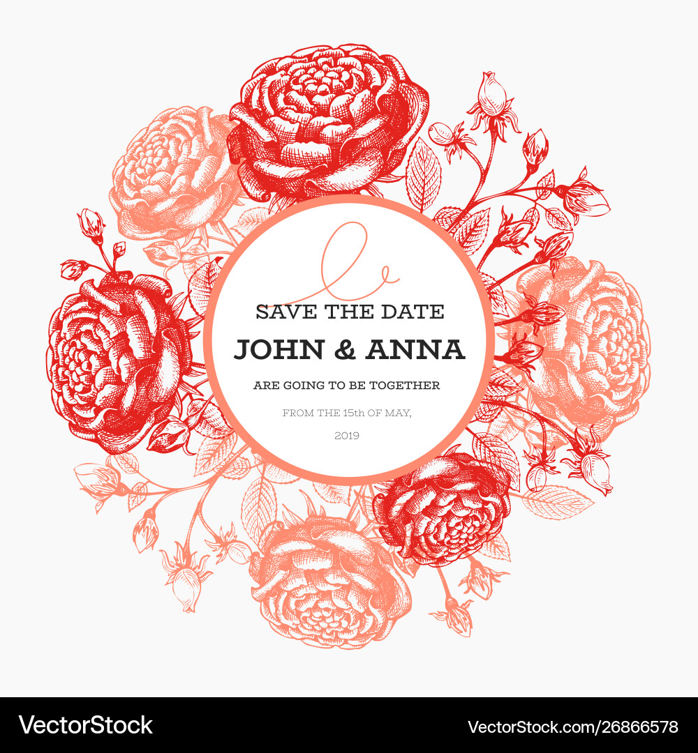 Roses flowers design template hand drawn Vector Image