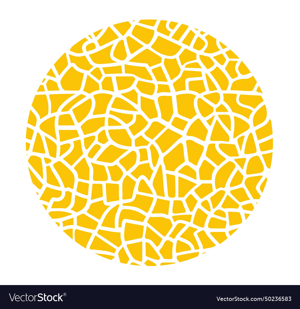 Melon Royalty Free Vector Image - VectorStock