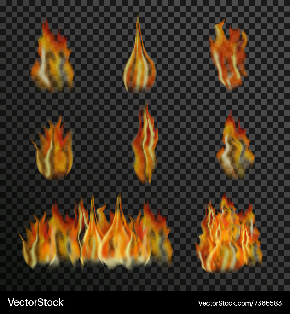 Set of realistic transparent fire flames Vector Image