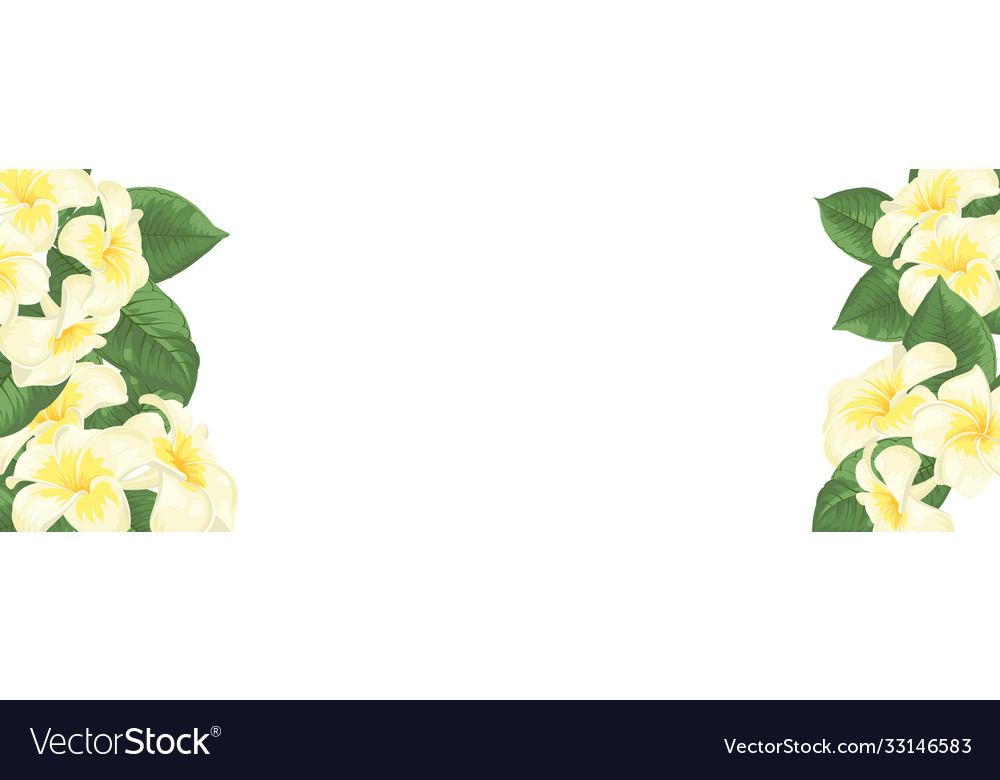 Tropical elements design template panoramic Vector Image