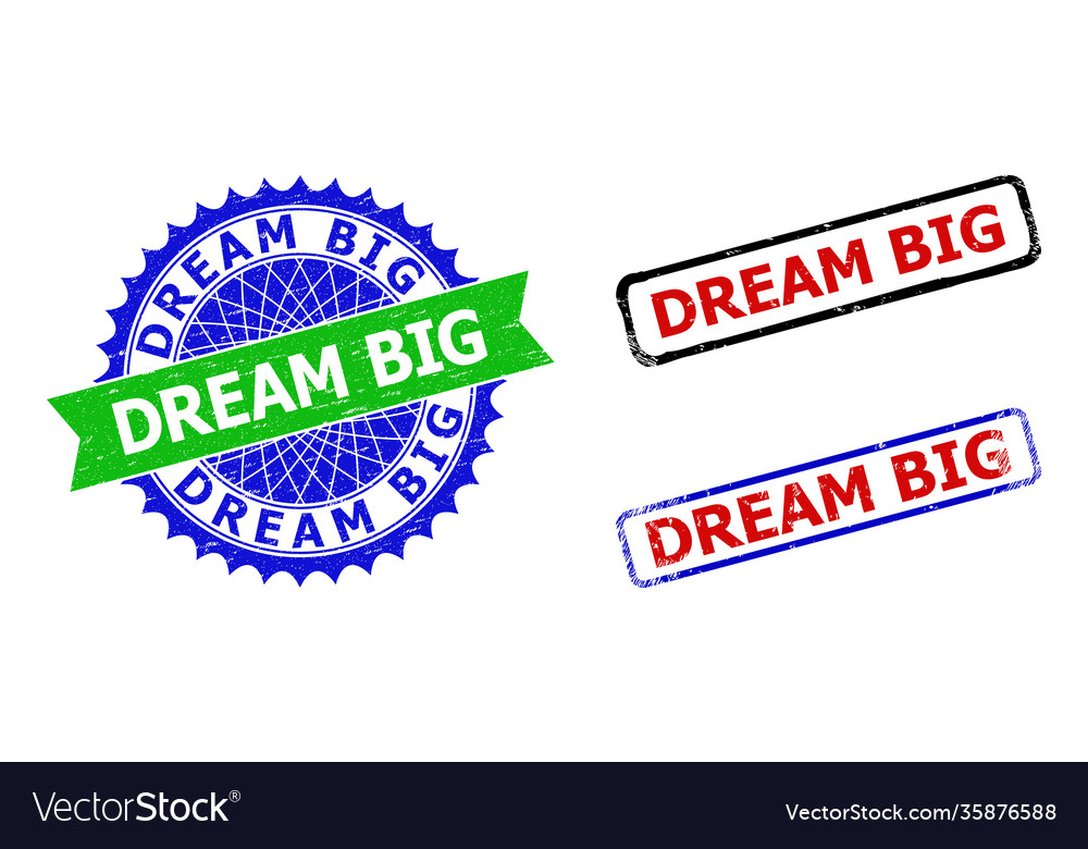 Dream big rosette and rectangle bicolor stamp Vector Image