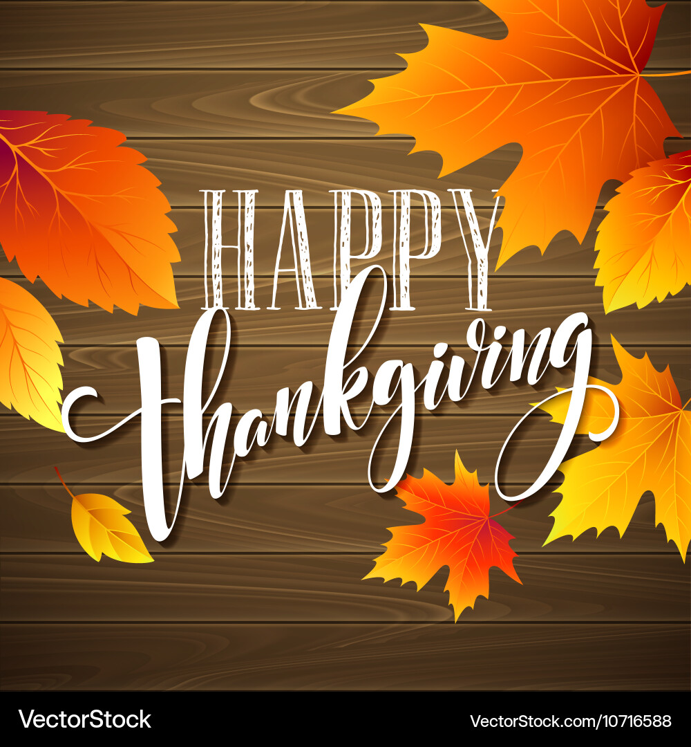 Hand drawn inscription thanksgiving calligraphy Vector Image