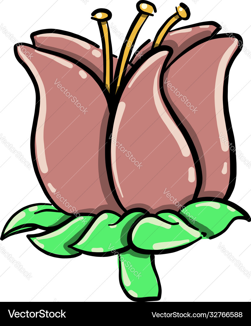 Pink big flower on white background Royalty Free Vector