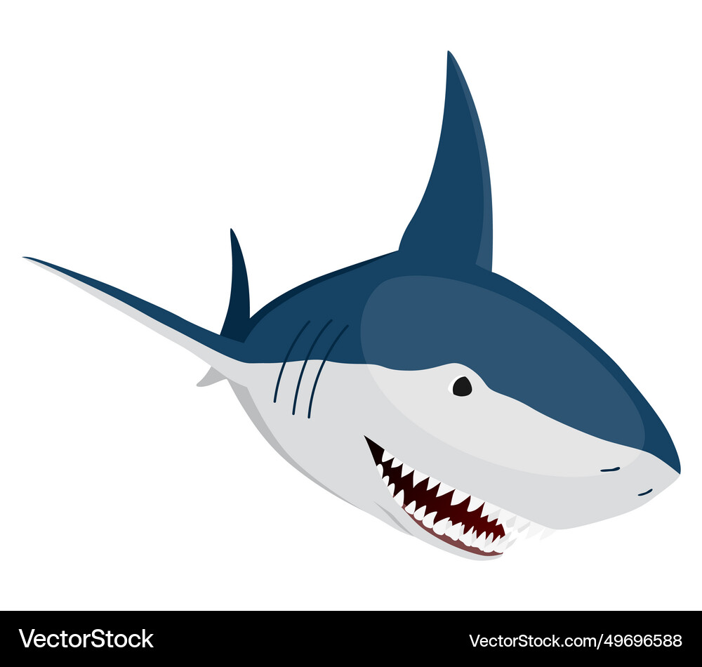 Shark marine predator fish character underwater Vector Image