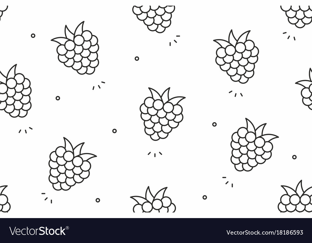 Raspberries seamless pattern Royalty Free Vector Image