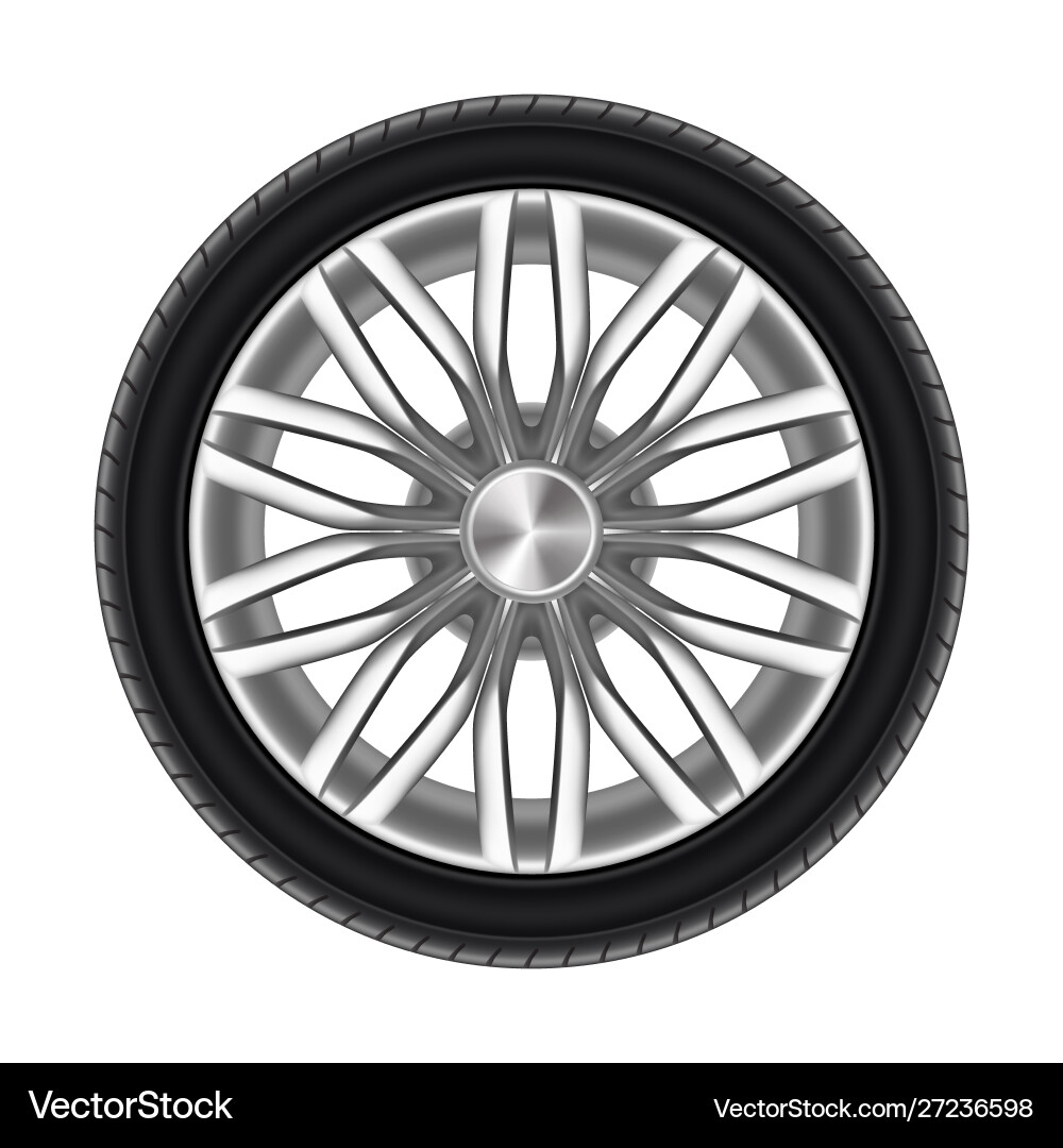 Auto tyre or rubber wheel isolated on white Vector Image