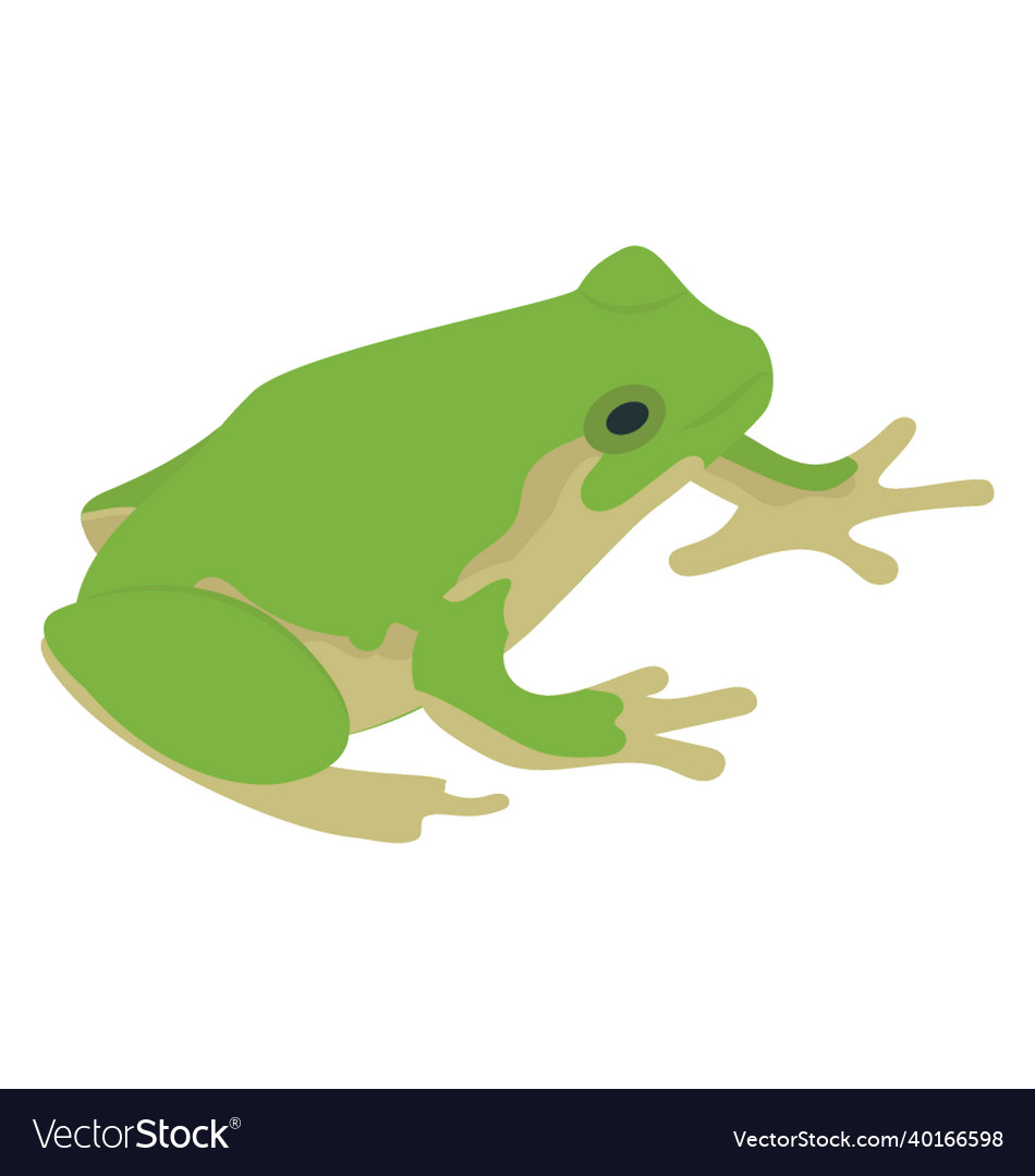 Frog Royalty Free Vector Image - VectorStock