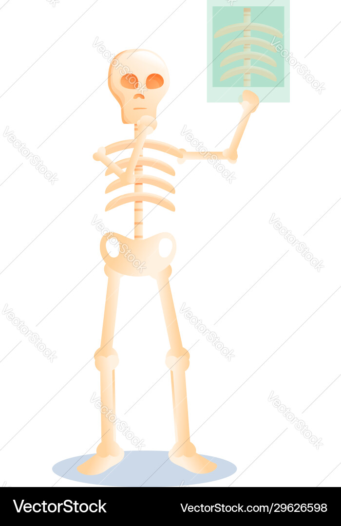Halloween skeleton icon cartoon style Royalty Free Vector