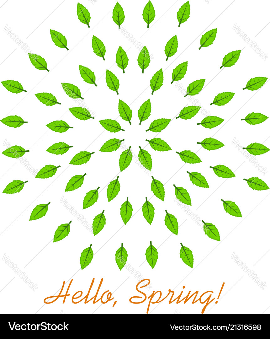 Hello spring mandala of leaves Royalty Free Vector Image