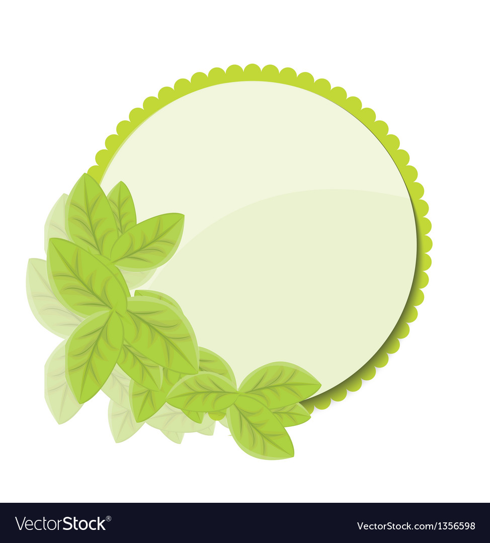 Leaf background Royalty Free Vector Image - VectorStock