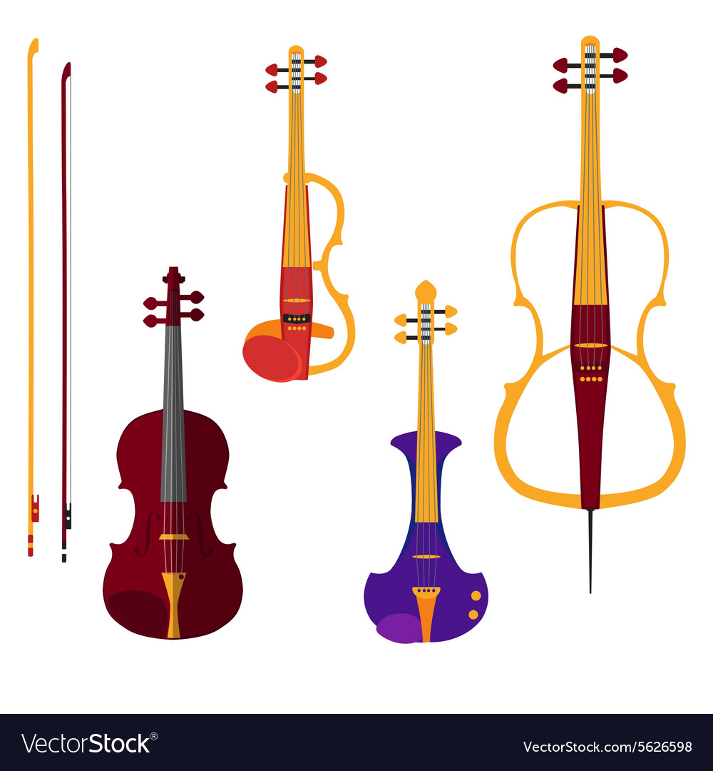 Set of different violins and cello with bows Vector Image