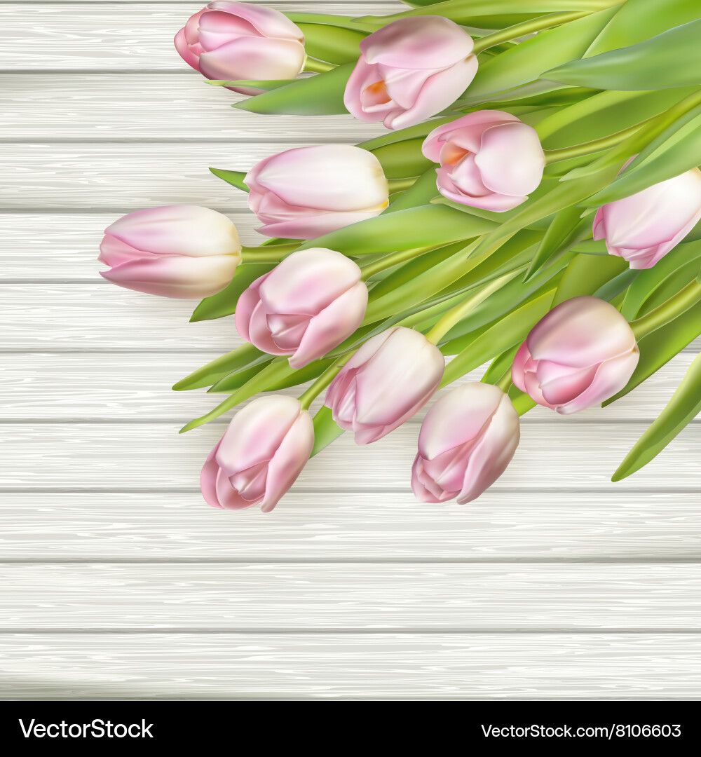 Beautiful pink tulips eps 10 Royalty Free Vector Image