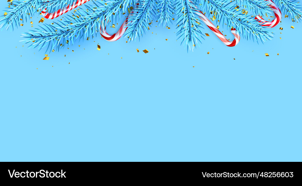 Striped candy cane sticks with blue fir branches Vector Image
