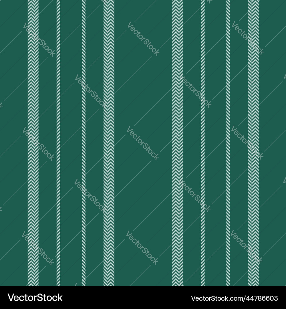 Vertical lines stripe pattern stripes background Vector Image