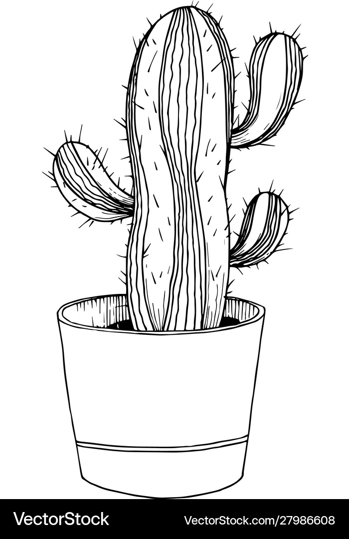 Cacti floral botanical flowers black Royalty Free Vector