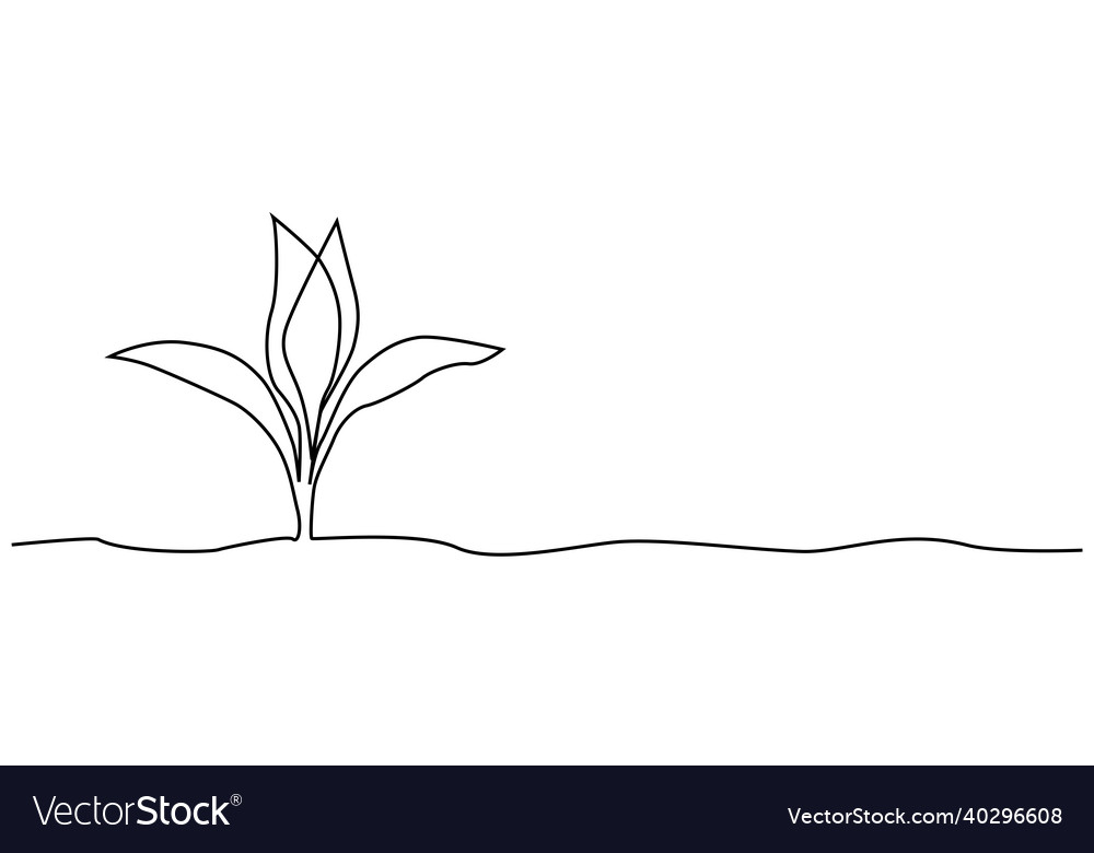 Single continuous line art growing sprout plant Vector Image
