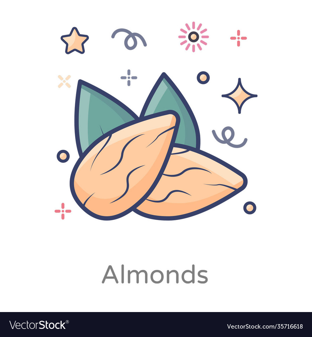 Almonds Royalty Free Vector Image - VectorStock
