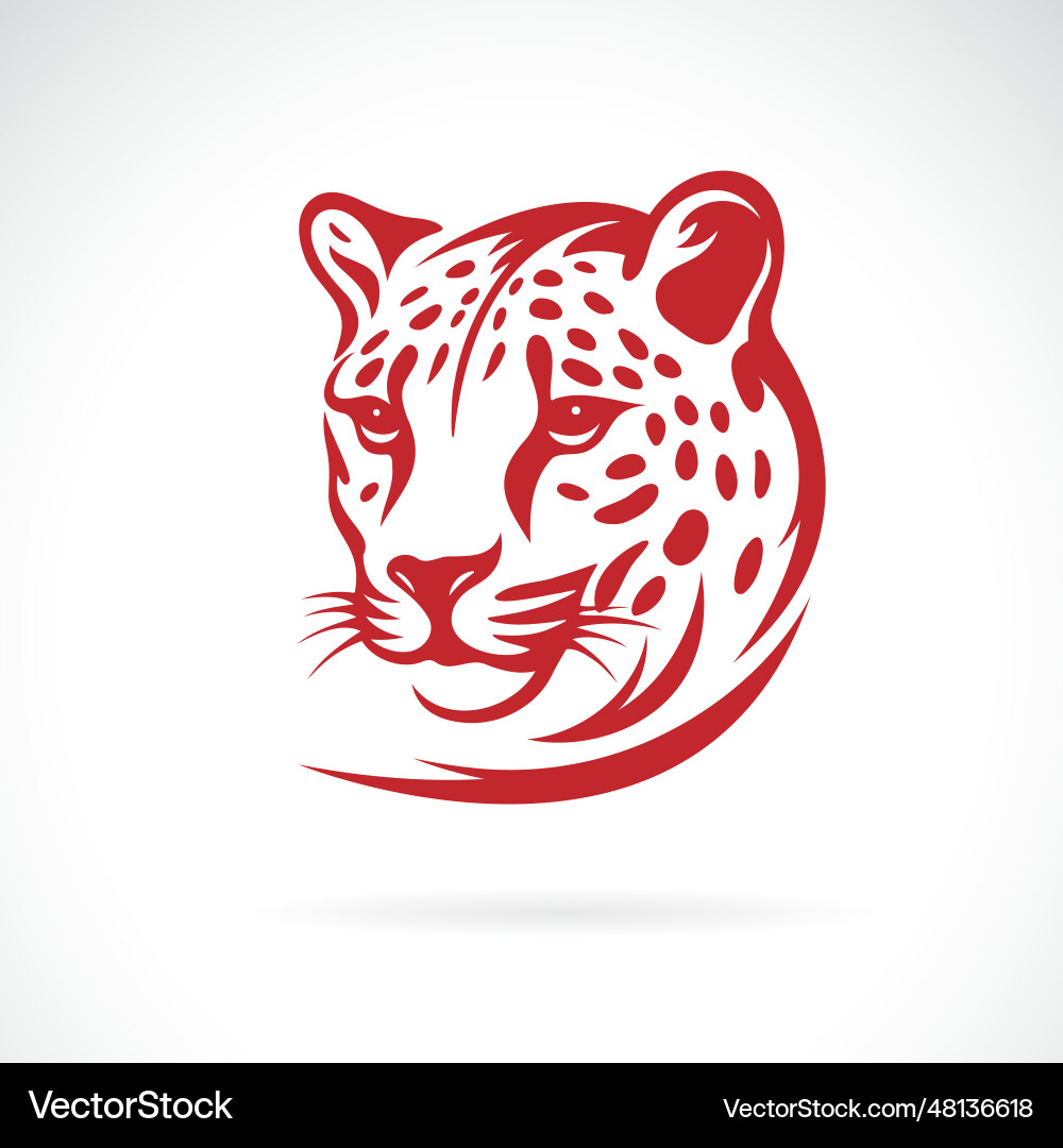 Cheetah head on white background wild animals Vector Image