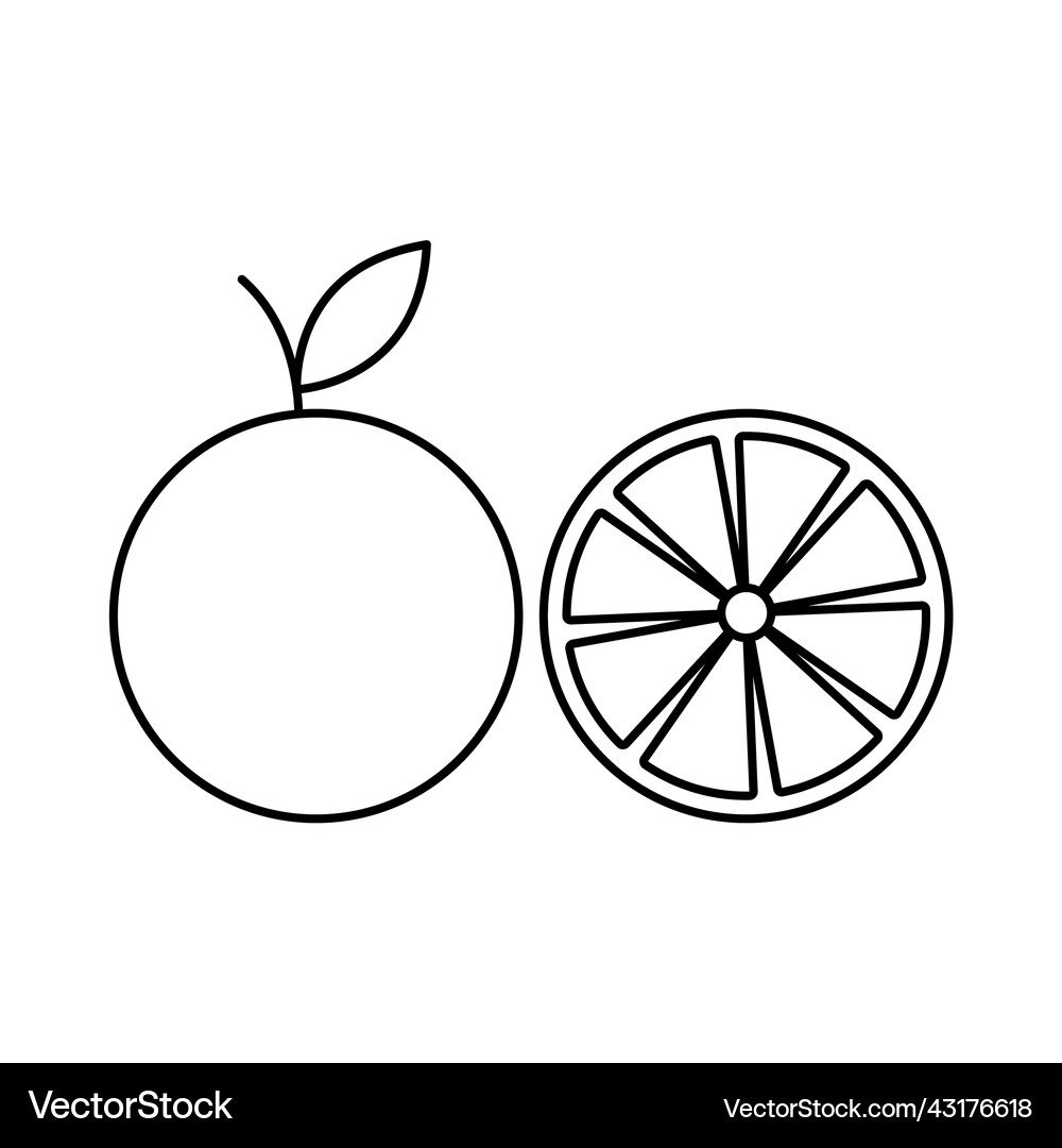 Orange fruit icon outline citrus eps 10 Royalty Free Vector